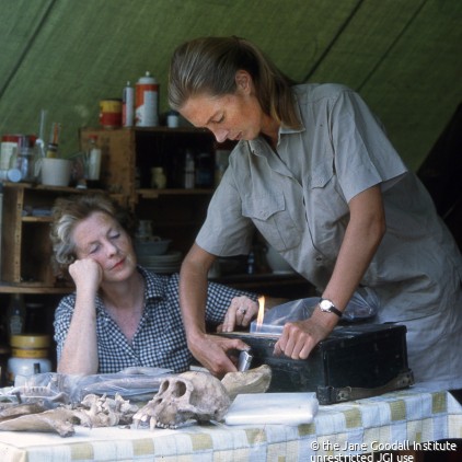 Dr. Jane Goodall - Jane Goodall Institute Belgium